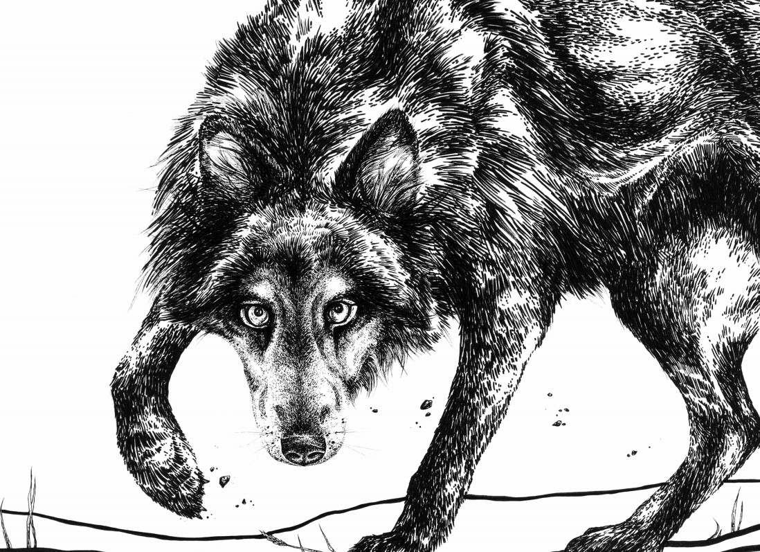 The Wilds - Revelstoke Visual Arts Centre